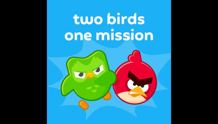 Red and Duo team up in an Angry Birds x Duolingo crossover - Rovio