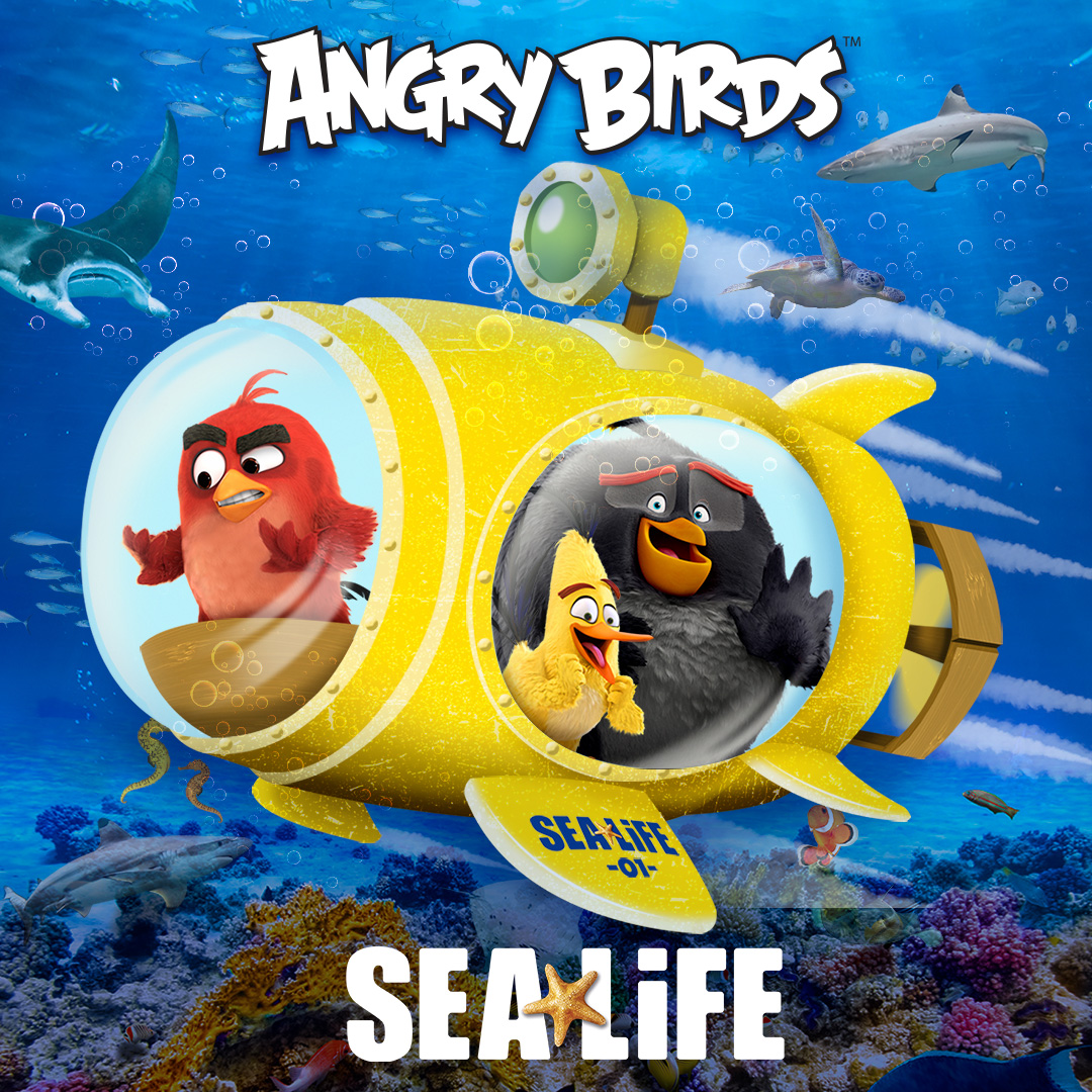 Angry Birds and Sea Life Join Forces for an Educational Event at Sea Life UK Locations - Rovio